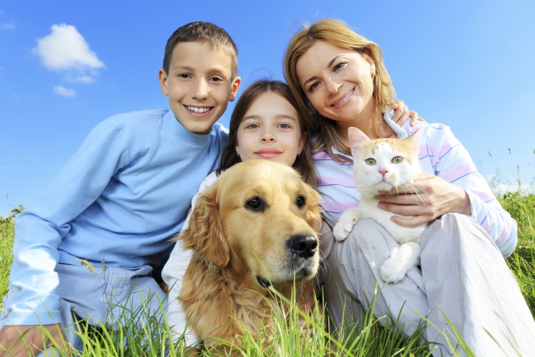 PET Aftercare Service - Animal Cremation Society Of Chicagoland